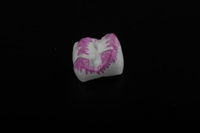 CE Zirconia Coloring Liquid For Zirconia Teeth Crowns Pink Color Series